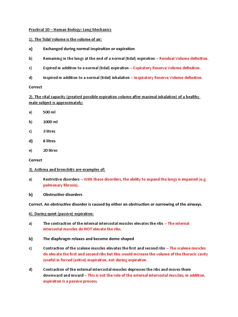 Lab Practical 10 - Human Biology - Lung Mechanics | PDF | Respiratory ...