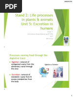 Life Science Grade 11 Term 3 Notes | PDF | Kidney | Urine