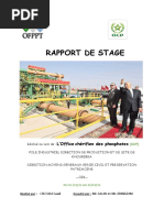 Organigramme Ocp Nouveau | PDF | Maroc | Business