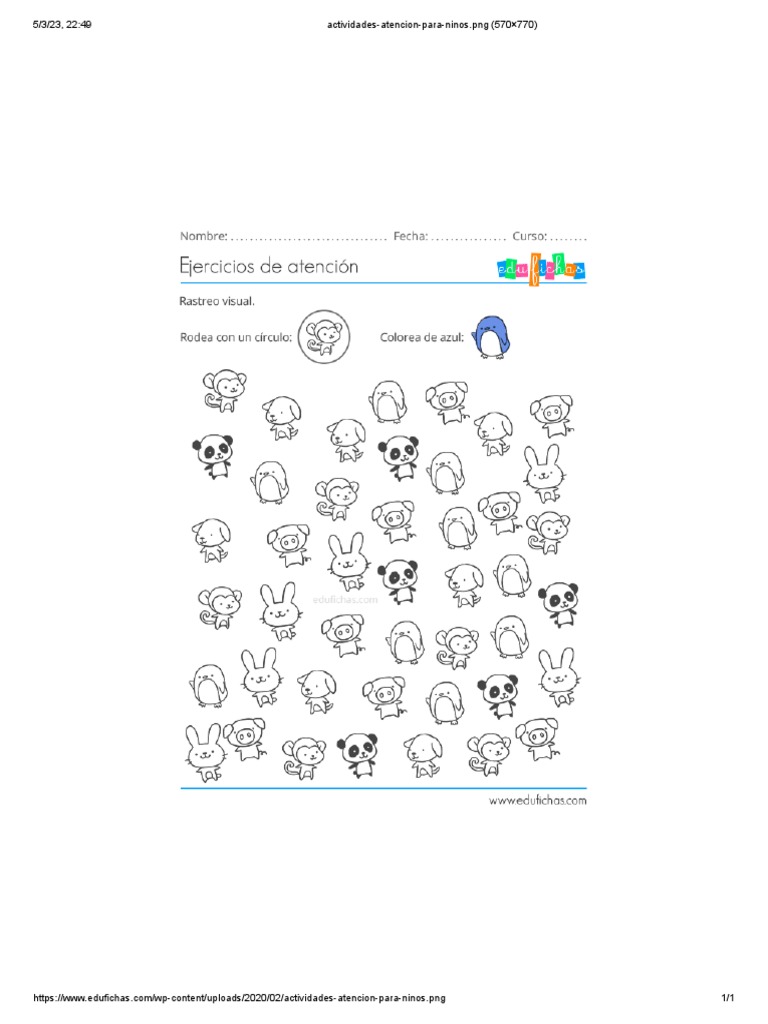 Actividades Atencion Para Ninos Pdf