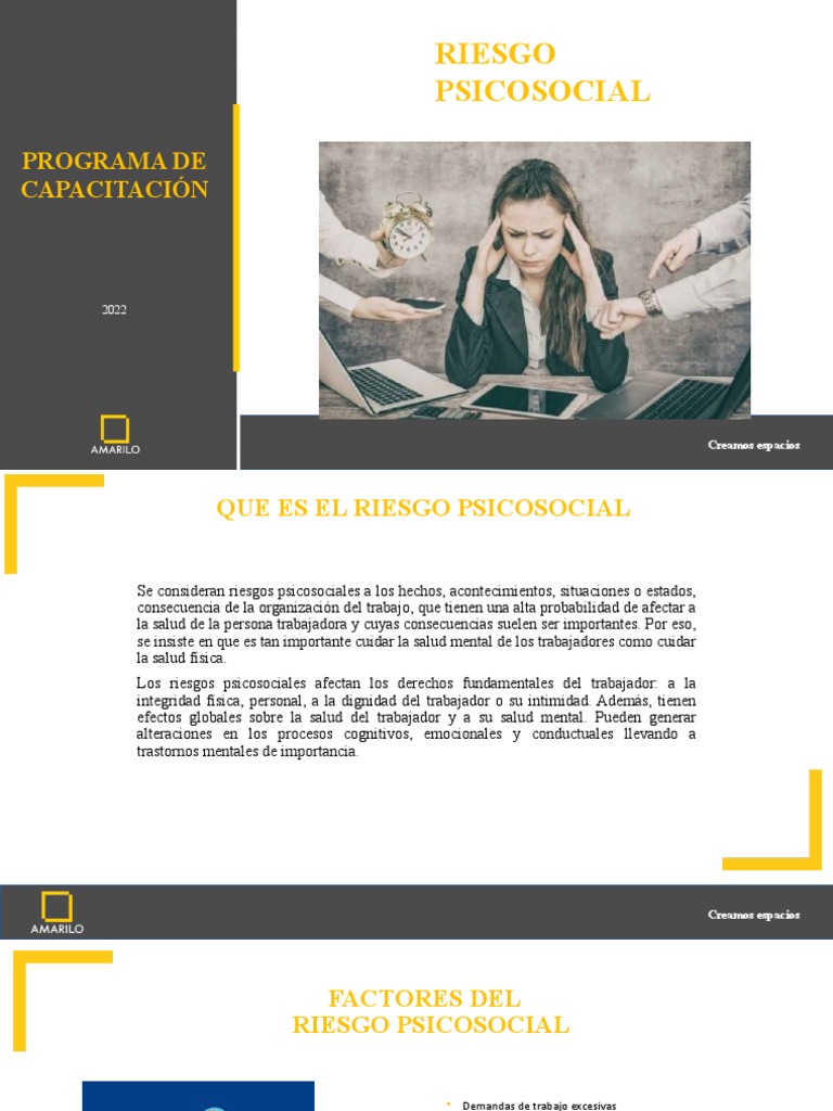 2. Capacitación Riesgo Psicosocial (1) | PDF
