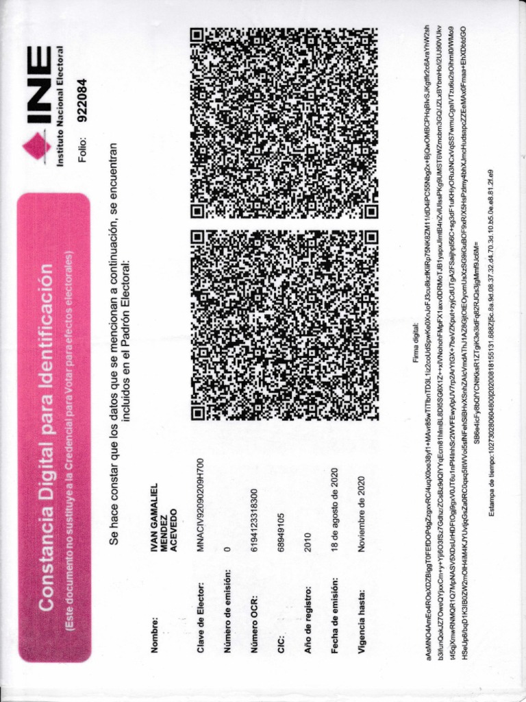 Constancia Ine 1 Pdf