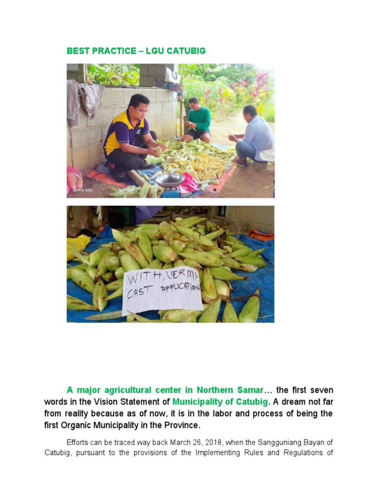 Best Practice CATUBIG | PDF