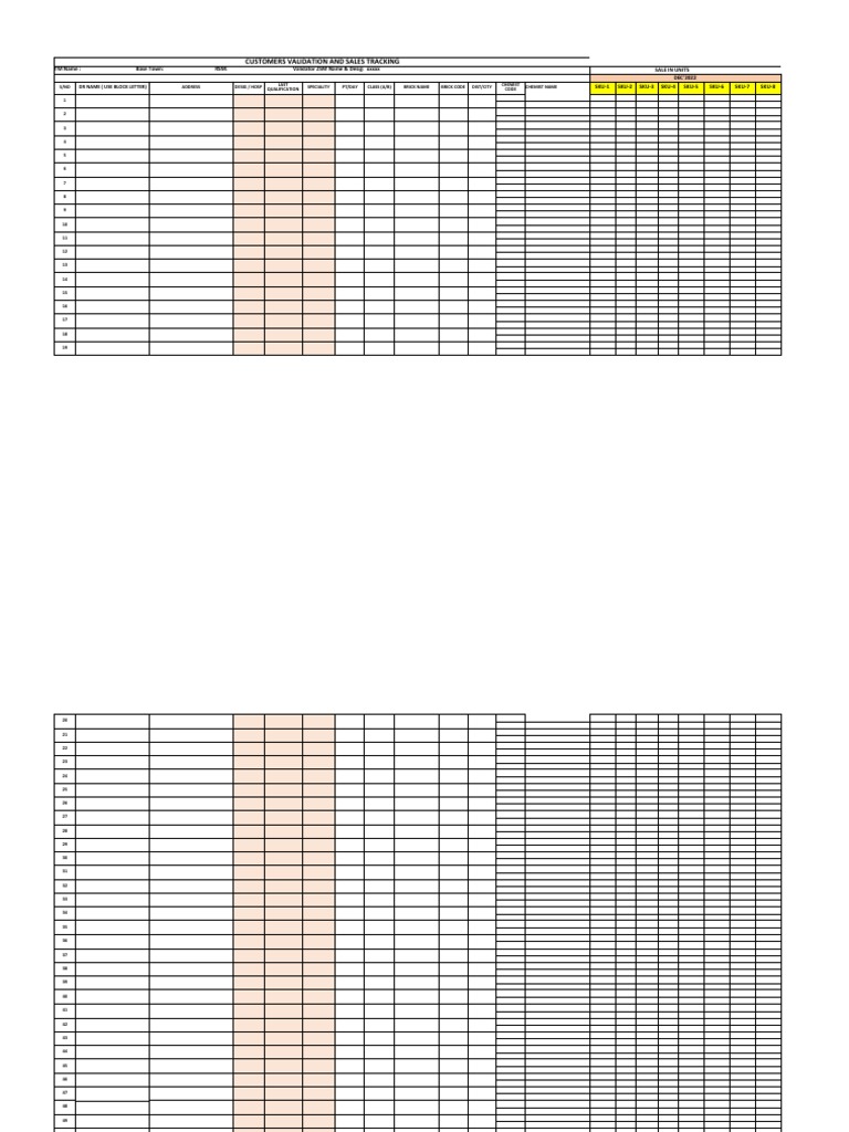 E1, Customer Data Format 2023 BRW | PDF