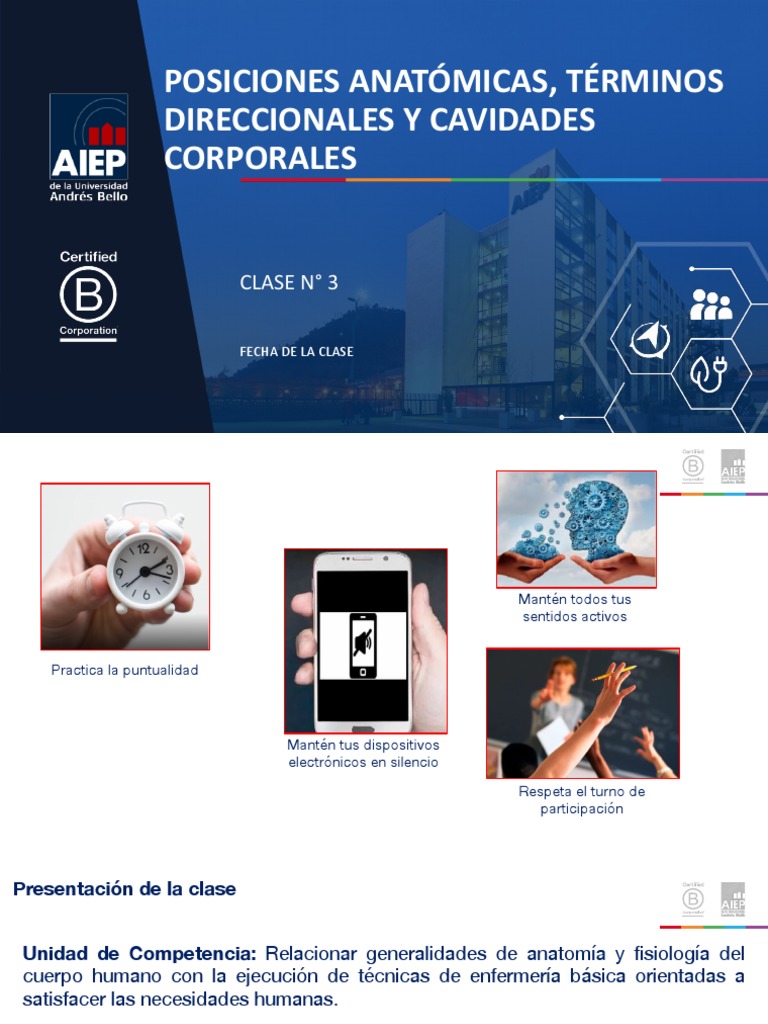 Clase N°3 - Posiciones anatómicas, términos direccionales y cavidades ...