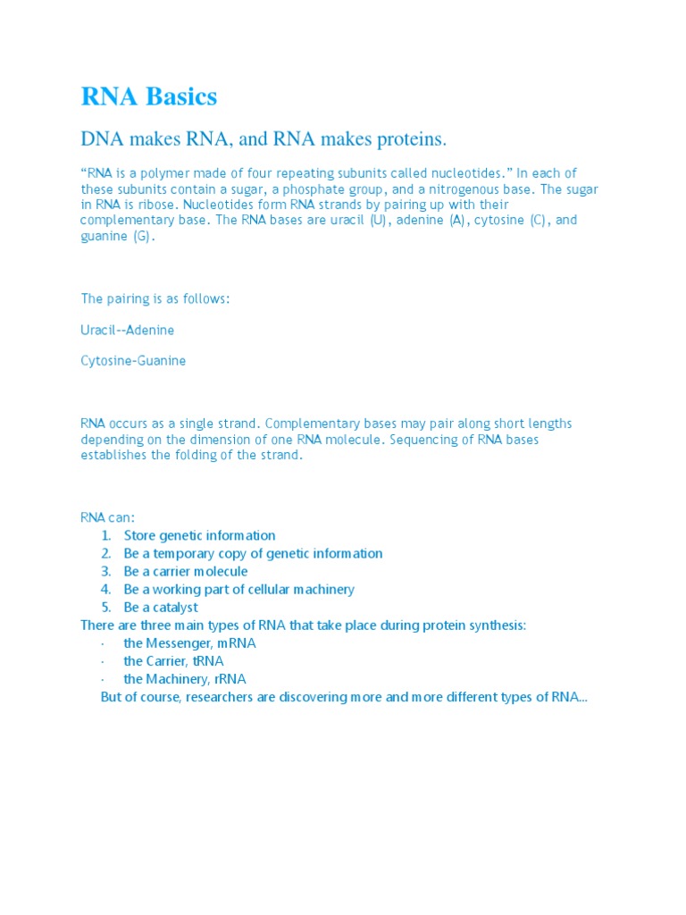 RNA Basics: DNA Makes RNA, and RNA Makes Proteins | PDF | Foreign ...
