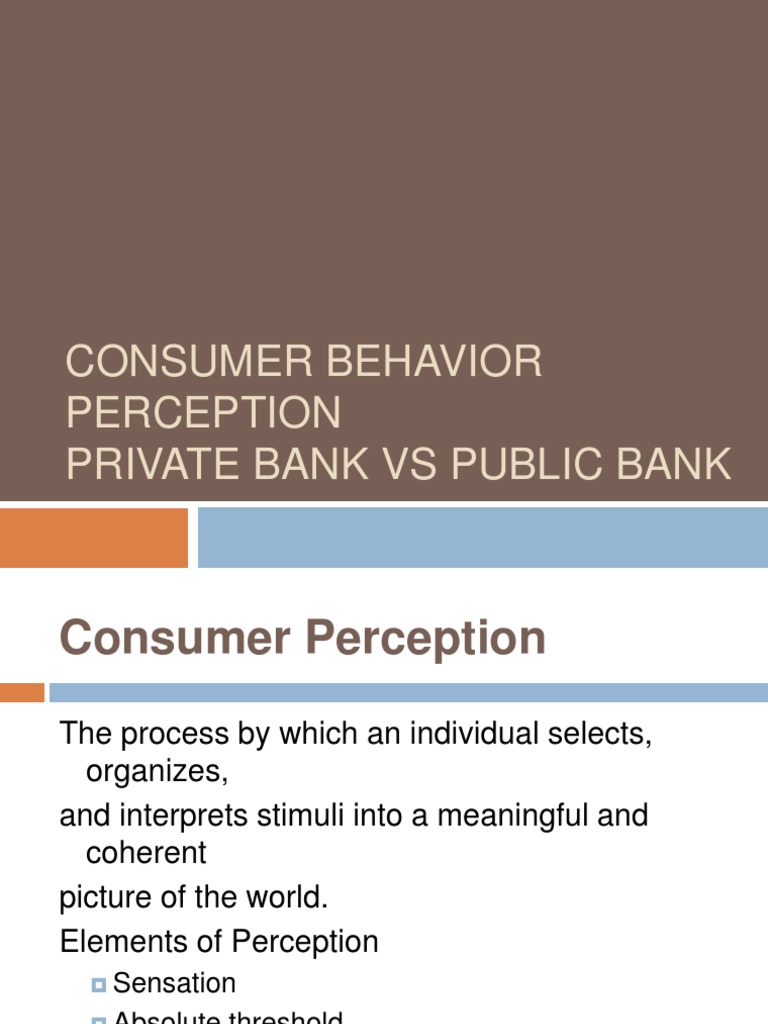 Consumer Behavior Perception Private Bank Vs Public Bank | PDF | Behavior | Perception