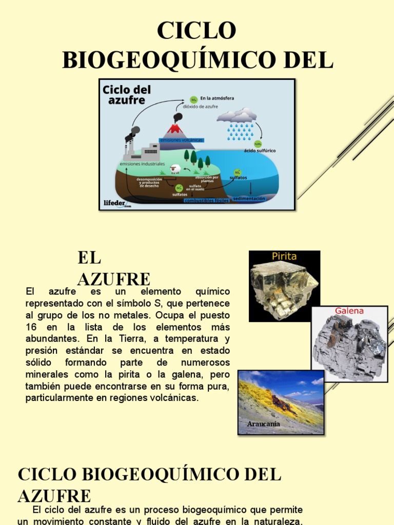 Ciclo Biogeoquímico Del Azufre | PDF