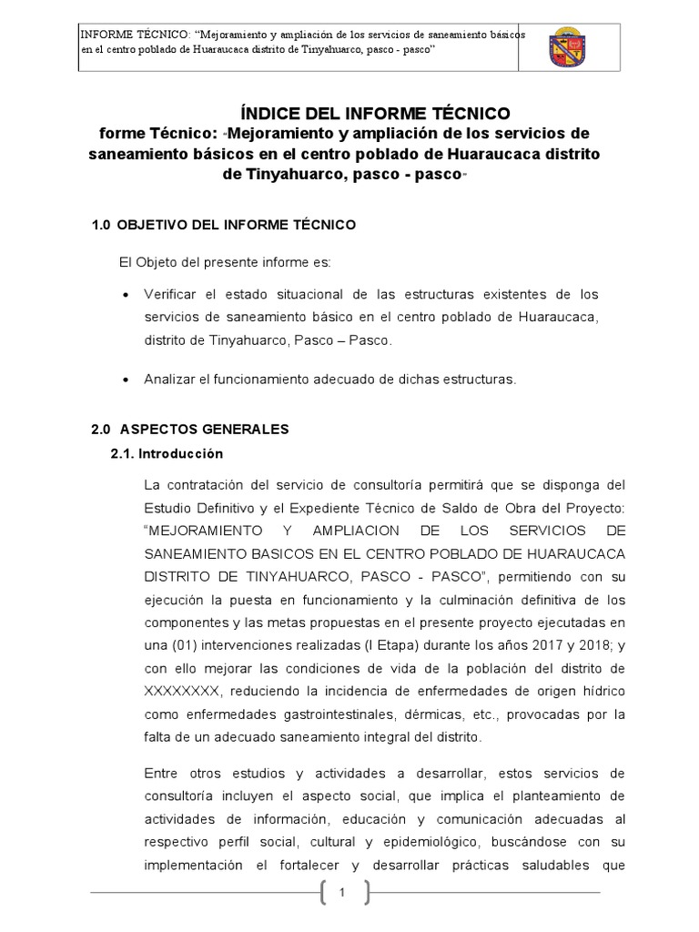 Informe Estado Situacional | PDF