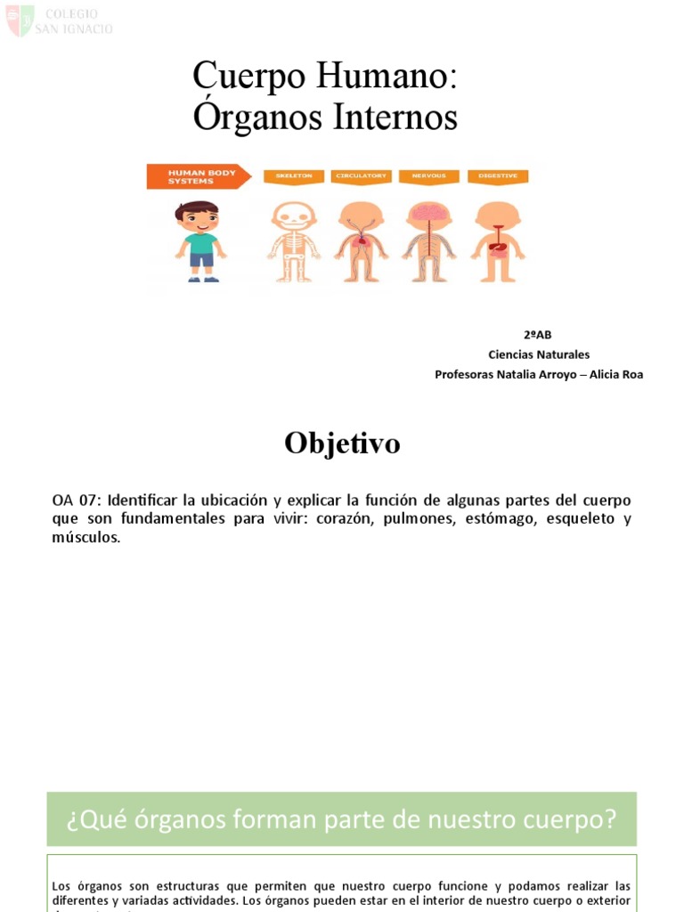 Cuerpo Humano - CLASE 1pptx | PDF
