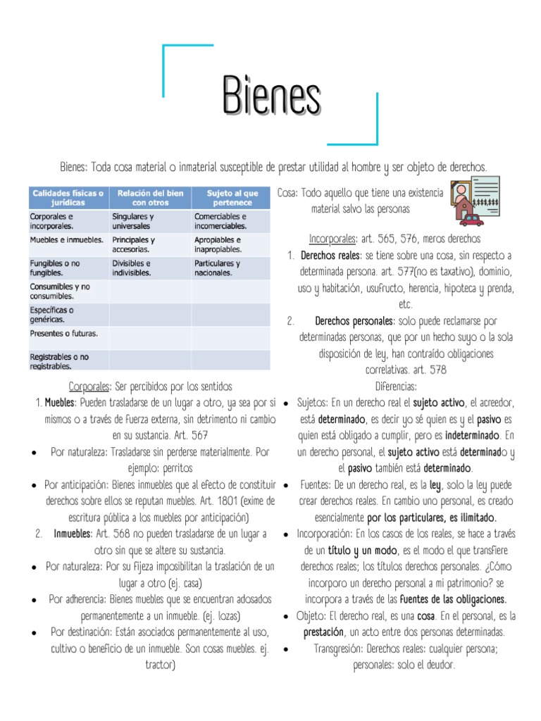 Bienes | PDF