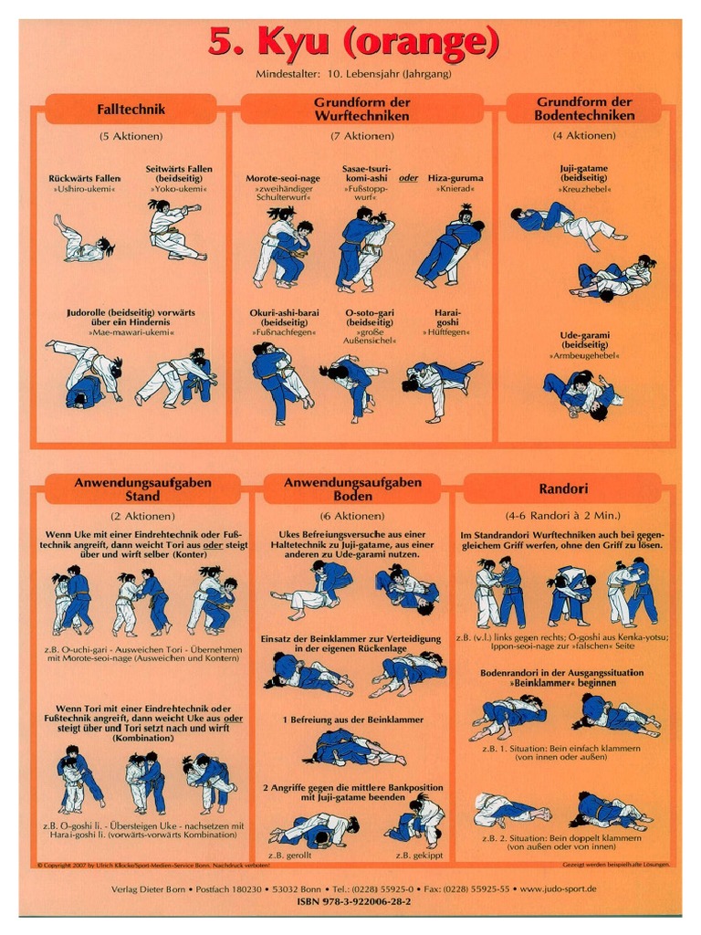 Judo-Kyu-Programm Poster A3 5.kyu PDF | PDF