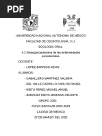 Piramide de Socransky | PDF | Las bacterias | Inmunología