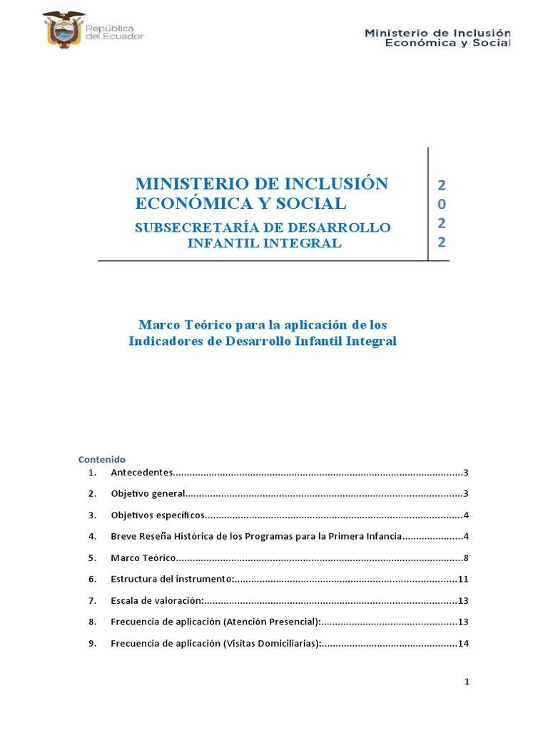 Marco Teórico IDII Final 2022 IMPRIMIR | PDF