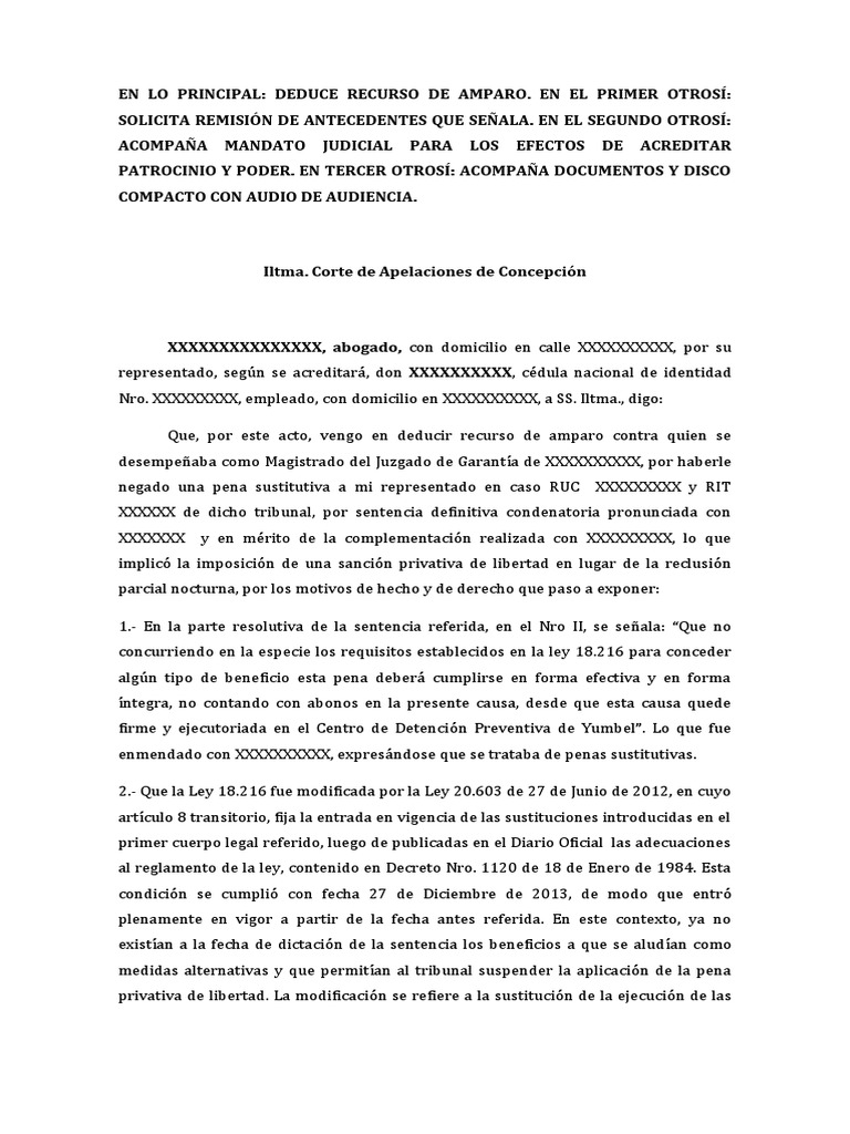 MODELO Recurso de Amparo | PDF