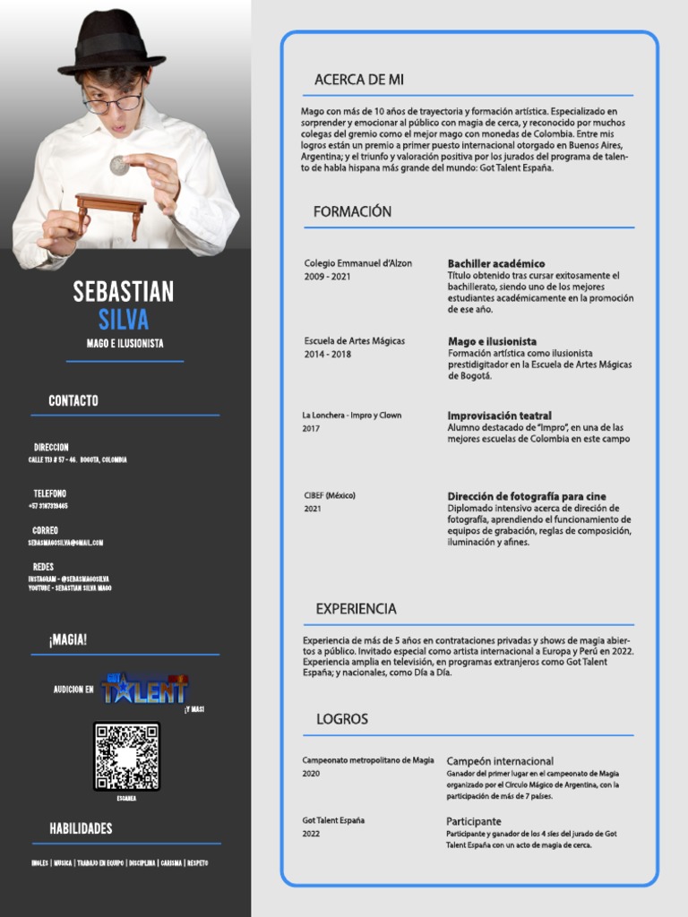 CV Sebastian Silva PDF | PDF