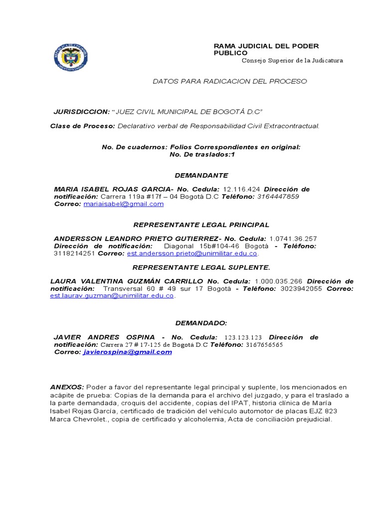 Portada Demanda - Corregida | PDF