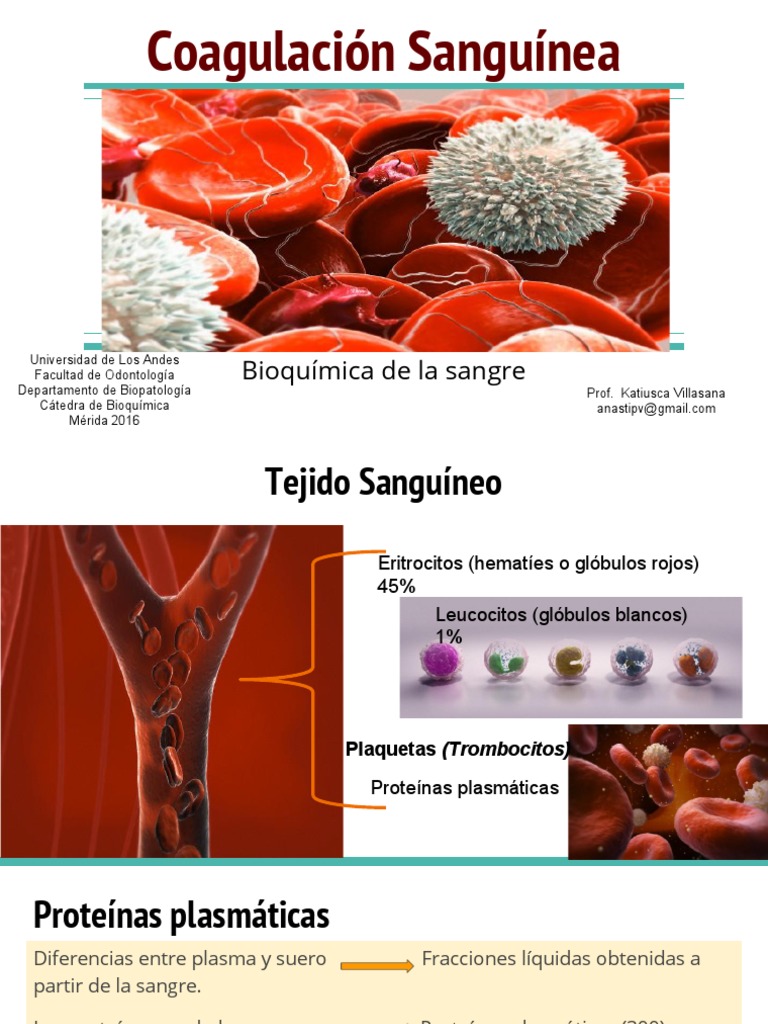 Coagulación Sanguínea | PDF