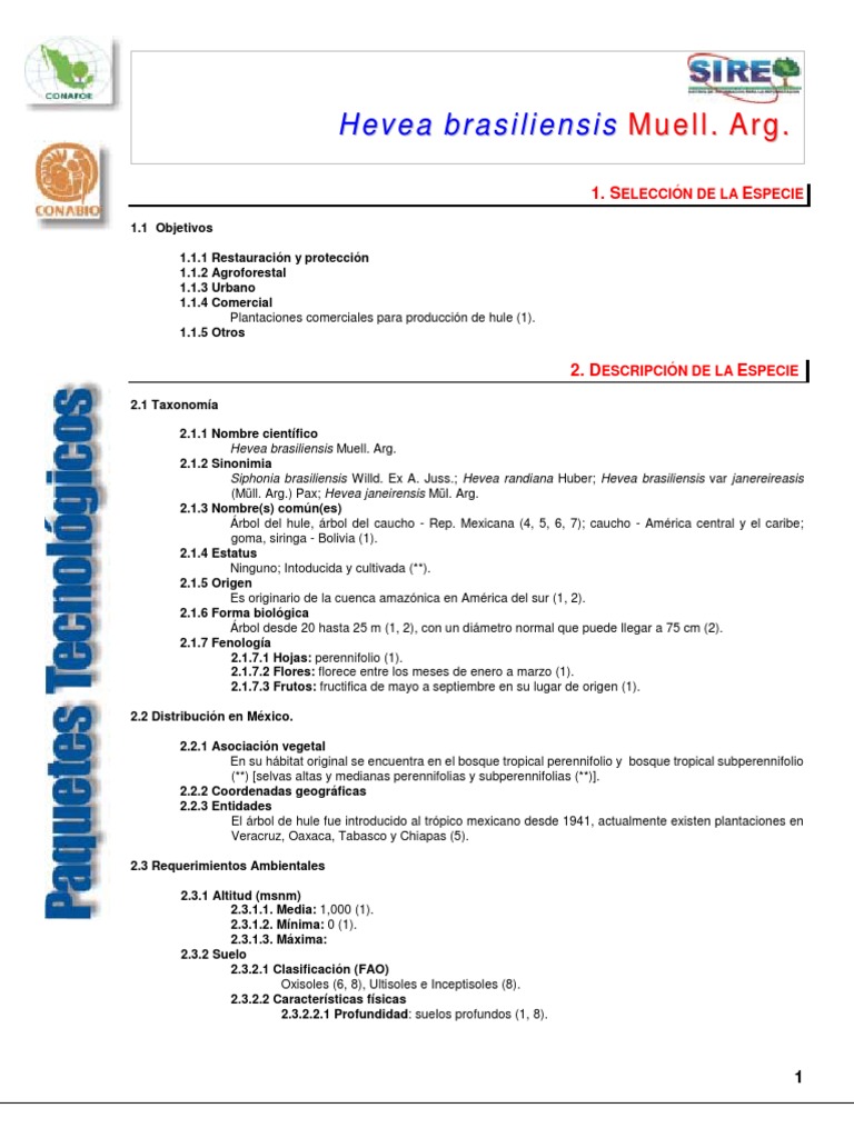 930hevea Brasiliensis | PDF