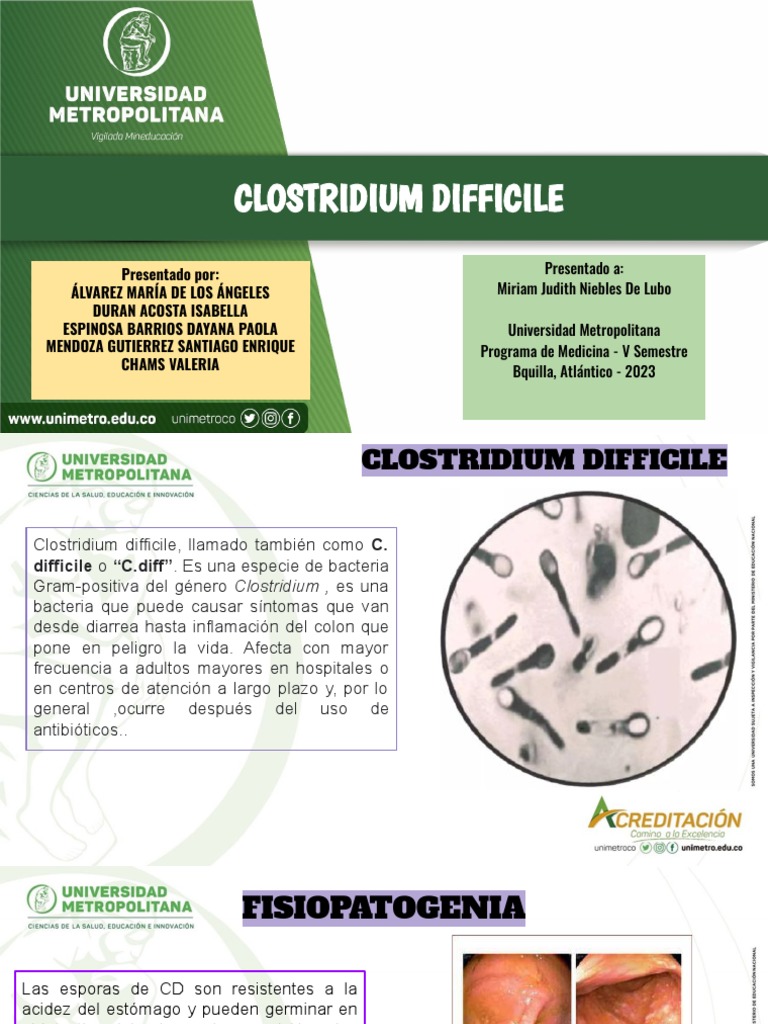 Clostridium Difficile PDF | PDF | Diarrea | Gastroenterología