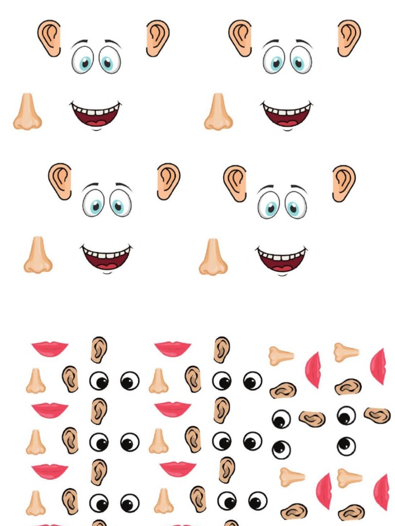 Parts of The Face | PDF