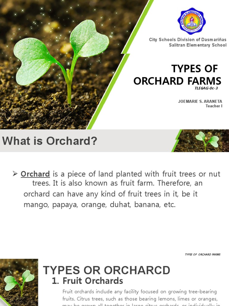 What is ORCHARD.pptx | PDF
