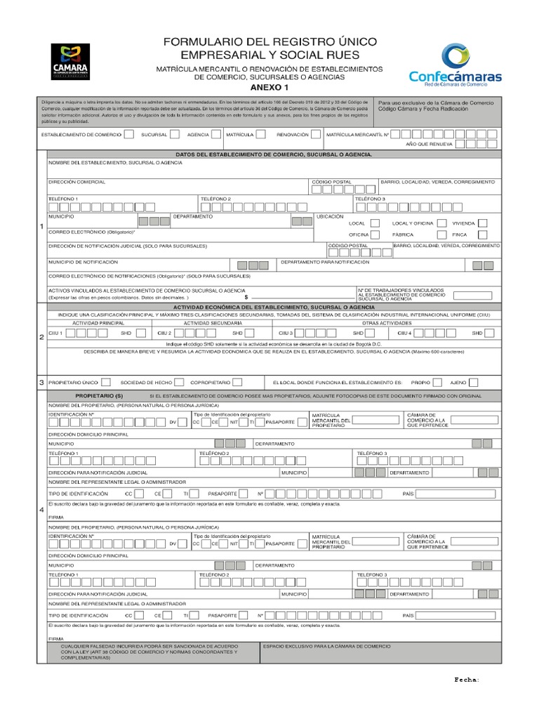 Anexo 1 Formulario Rues - Establecimientos de Comercio - Agencias y Sucursales | PDF