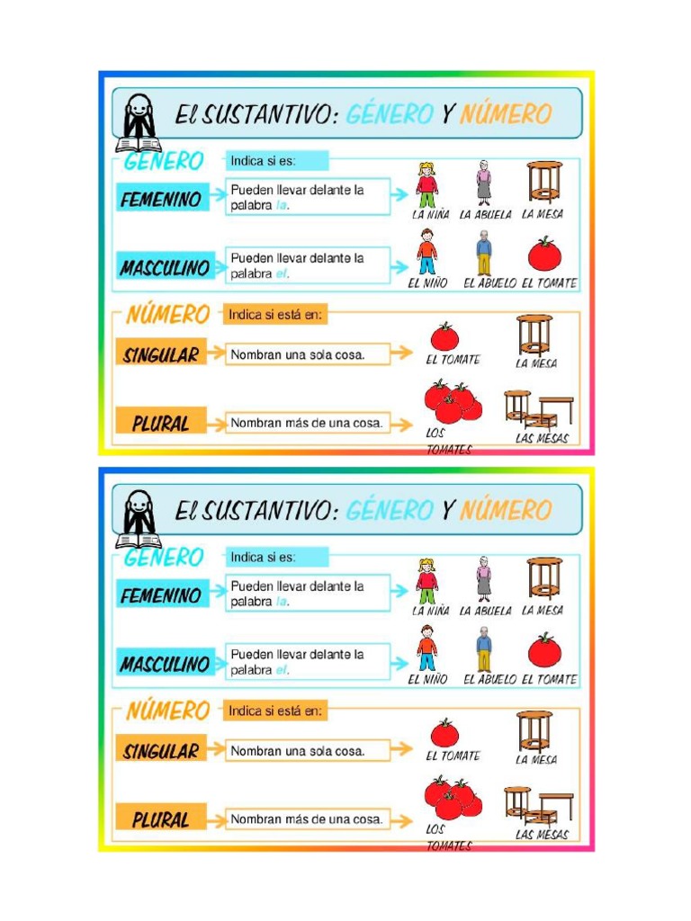 genero y numero | PDF