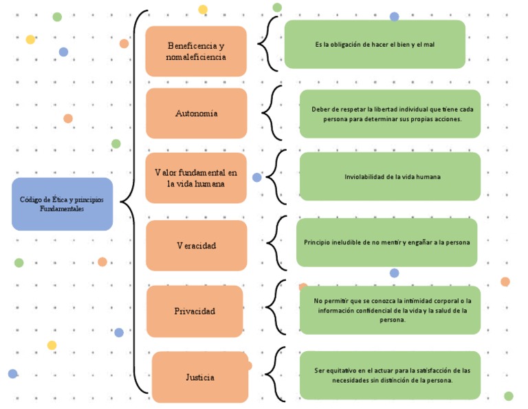 Codigo de Etica y Principios Fundamentales | PDF