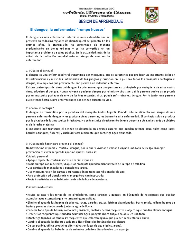 FICHA El Dengue, La Enfermedad "Rompe Huesos"-2 | PDF | Salud pública ...