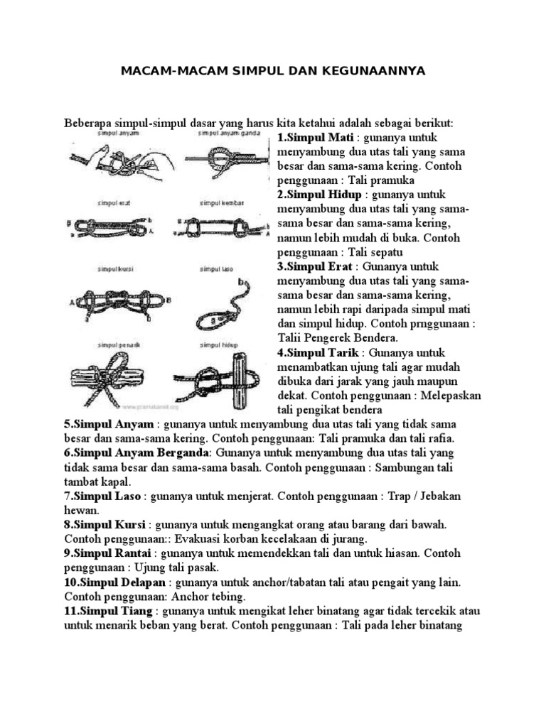 Macam-Macam Simpul | PDF | Kajian Bahasa Asing | Sains & Matematika