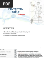 Anatomie des reins et leur vascularisation | PDF | Rein | Foie