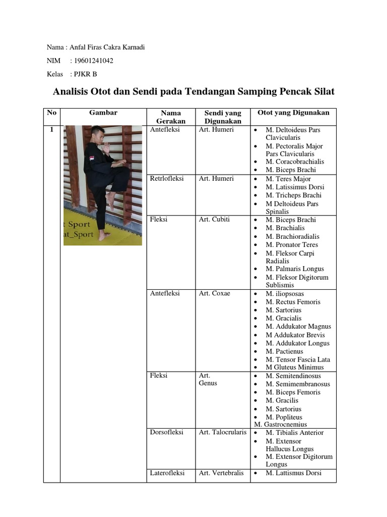 Analisis Otot Pada Tendangan Samping Pencak Silat | PDF