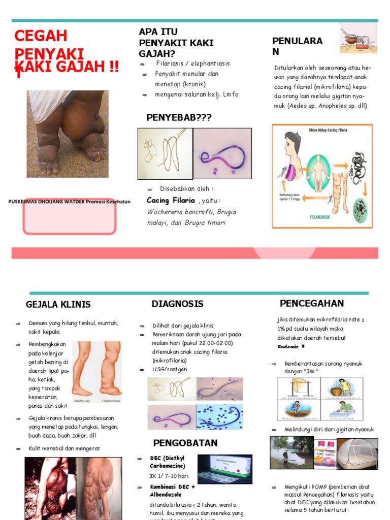 Leaflet Filariasis | PDF