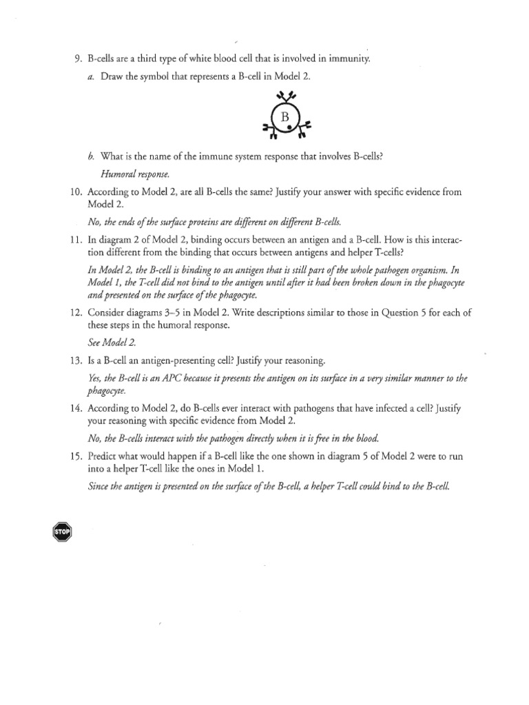 Immunity Pogil Packet Key 4 - 8 P | PDF