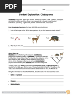 Cladogram Worksheet Practice KEY | PDF | Organisms | Phylogenetics