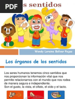 Organos de Los Sentidos | PDF | Percepción visual | Ojo