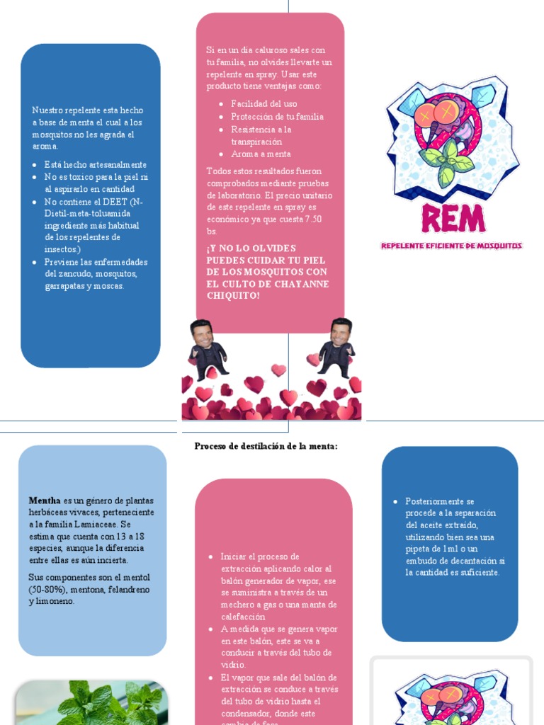 Folleto Insecticida | PDF | Mentha | Química