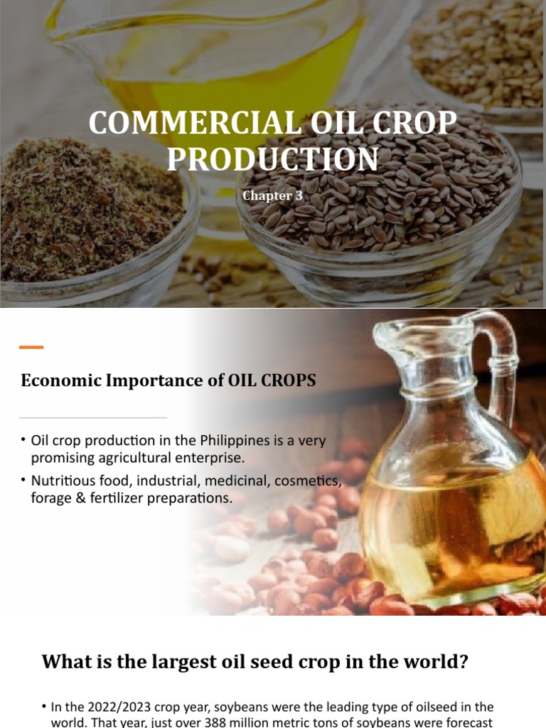 Chapter 3 - Oil Crops | PDF
