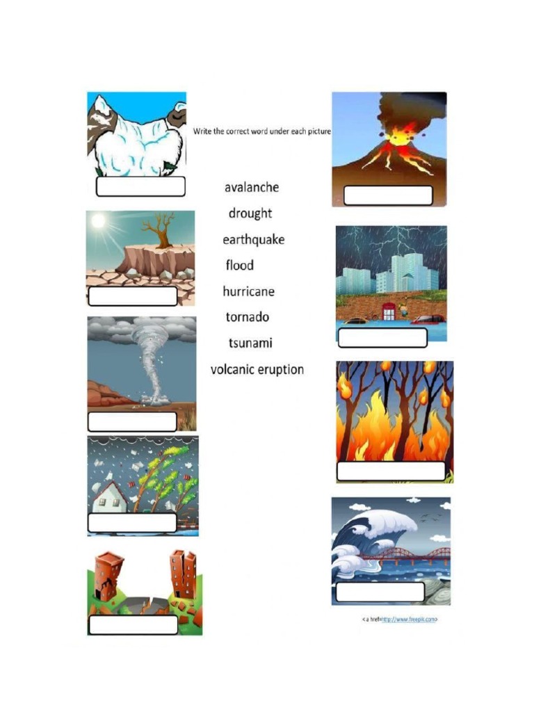 Natural Disasters 5 | PDF