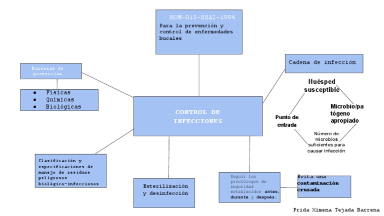 Mapa Conceptual - Control de Infecciones PDF | PDF
