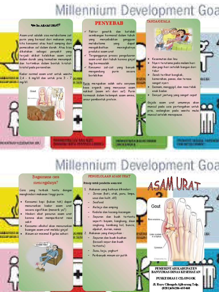 Leaflet Gout AUL | PDF