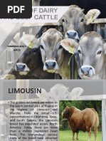Official List of Breed Codes For Bovine: Beef Breeds | PDF | Livestock ...
