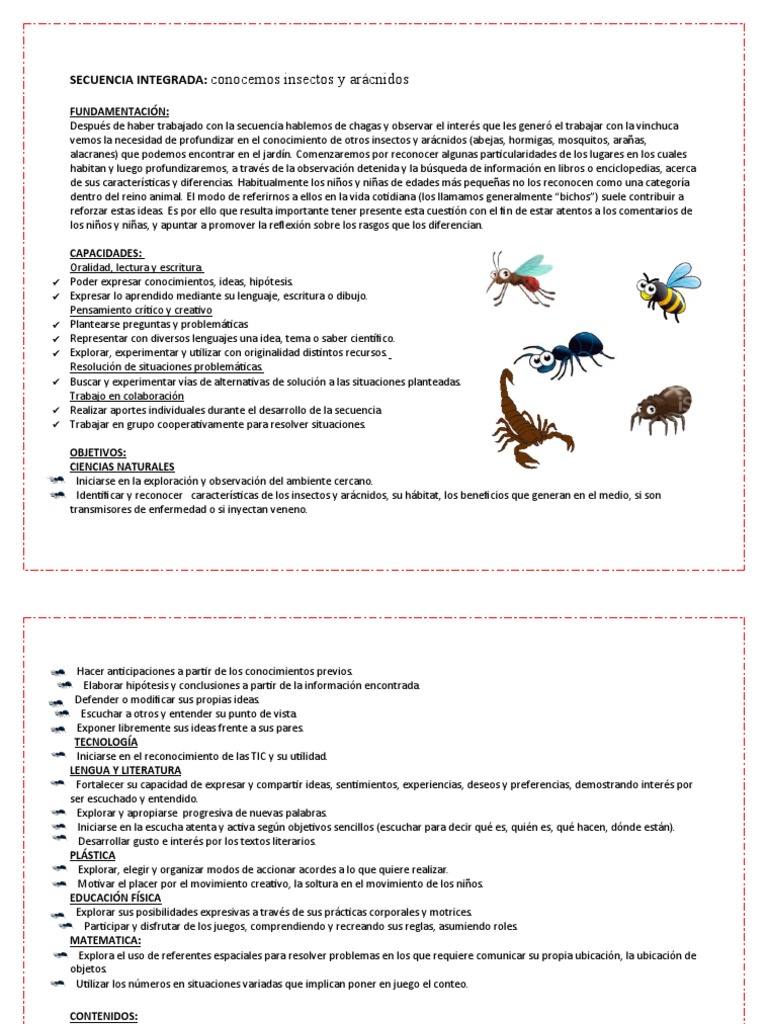 Conocemos Insectos y Arácnidos | PDF | Comunicación | Hormiga