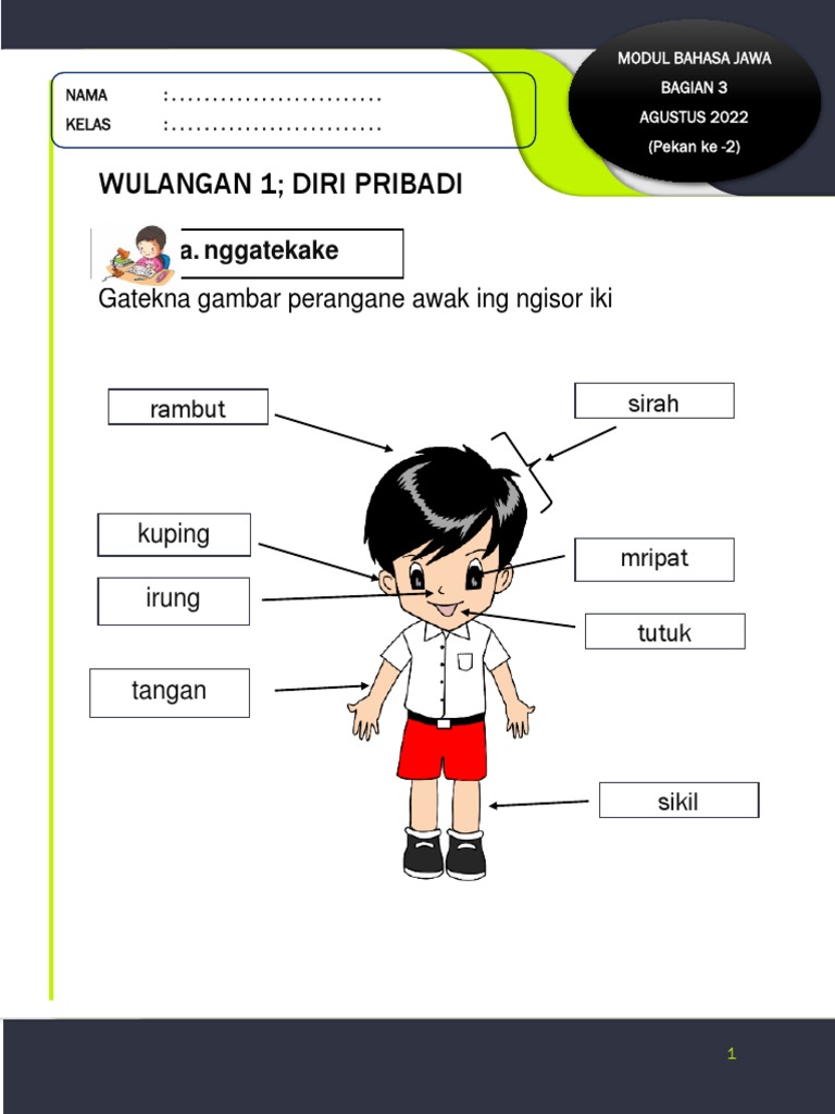 Perangan Awak Lan Gunane PDF | PDF