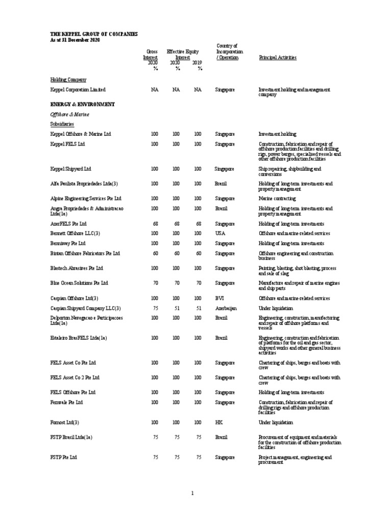 Keppel Group Company Overview 2020 | PDF