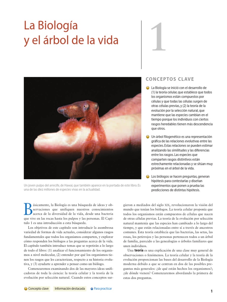 Fundamentos de Biología - 3ra Edición - Scott Freeman-Cap 1 | PDF | Evolución | Especies