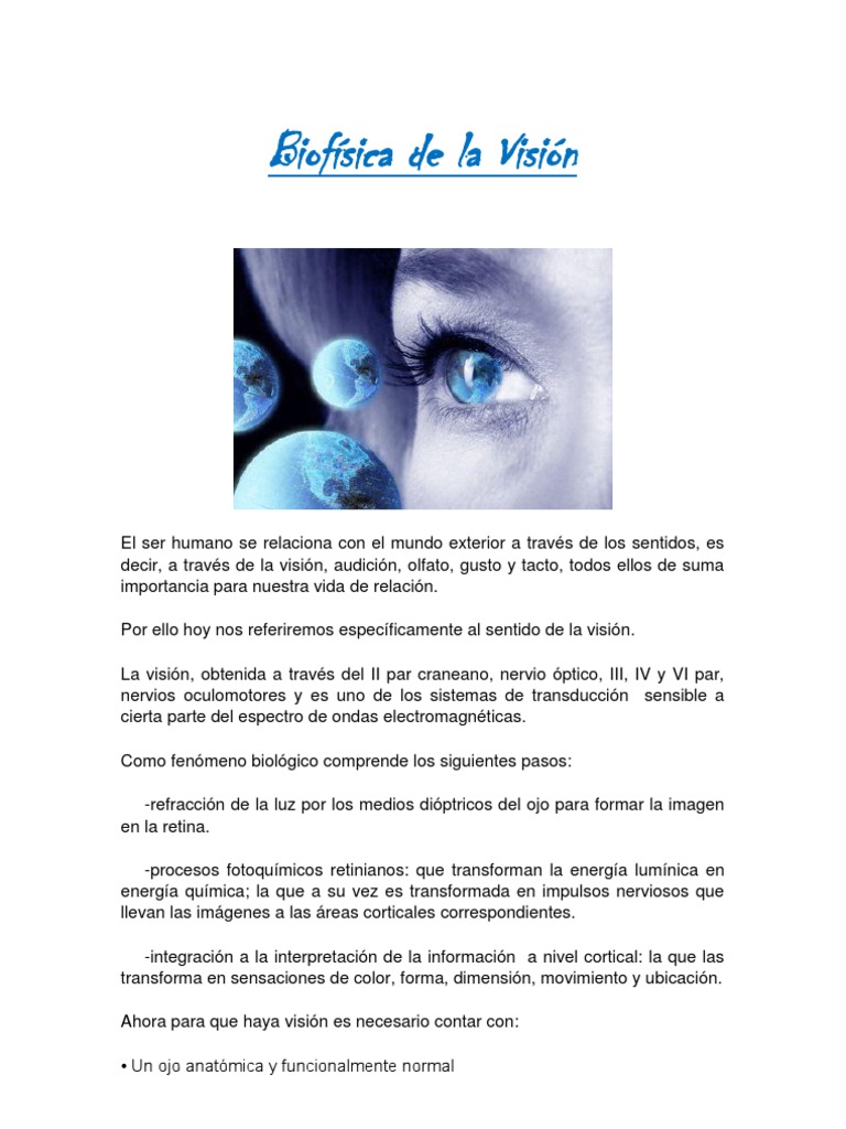 Biofísica de La Visión | PDF | Percepción visual | Ojo humano
