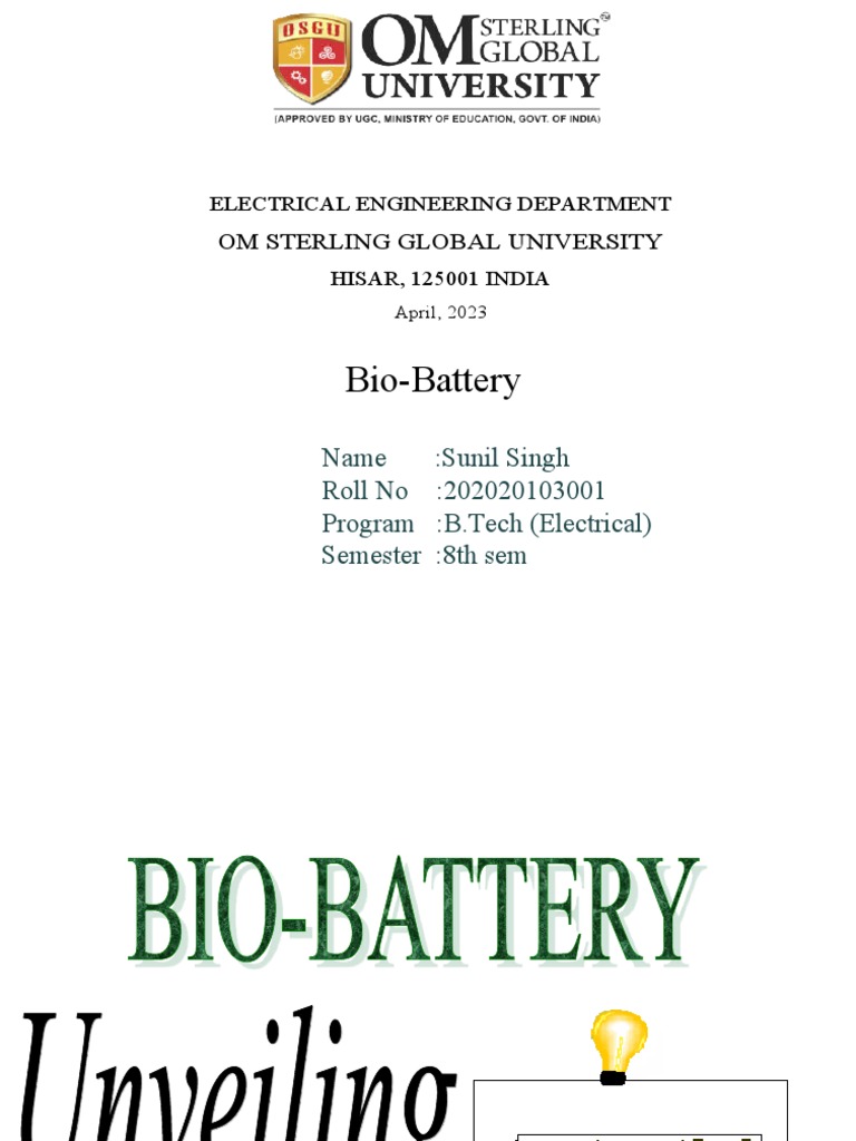 Bio Battery | PDF