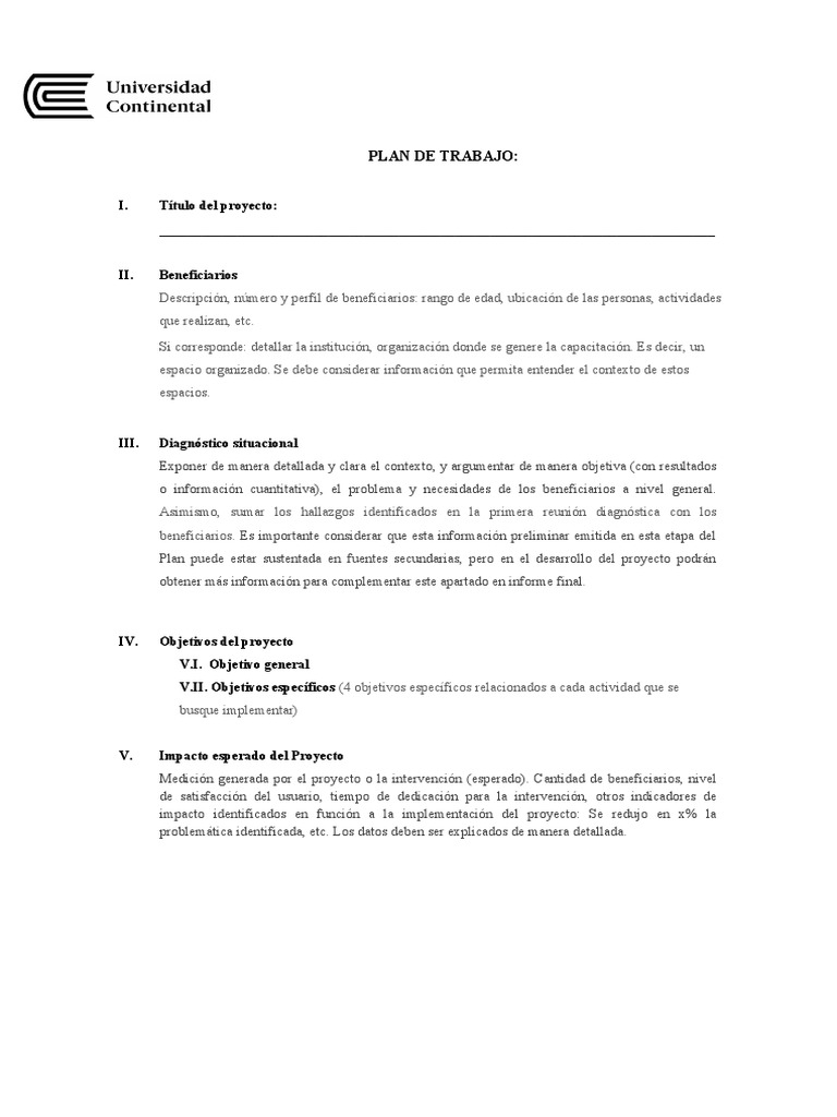 Formato - Plan de Trabajo | PDF